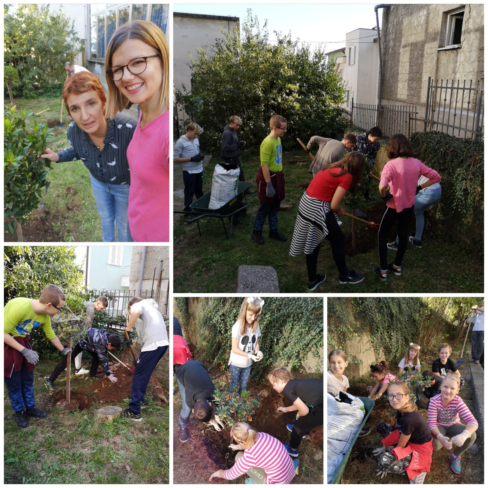 Donacija sadnica OŠ Turnić | KD Čistoća · Rijeka